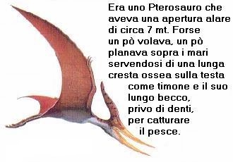 Dimensioni Pteranodonte