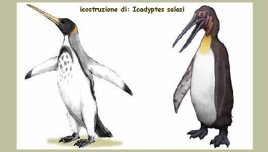 .::Specie di Uccelli::.
